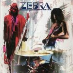 Music | Zebra | Official